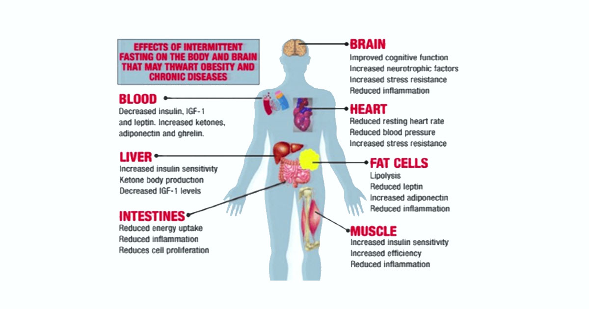 Is Intermittent fasting (IF) right for you? - Marsha Fenwick Nutrition