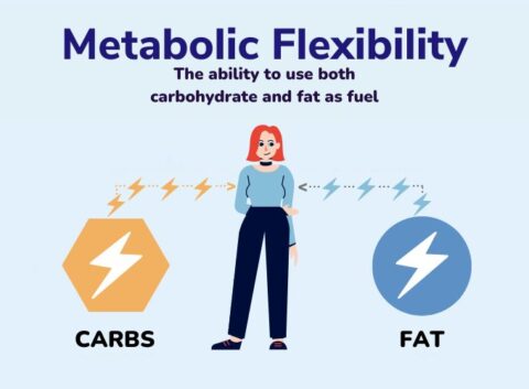 How is your Metabolic Flexibility? - Marsha Fenwick Nutrition